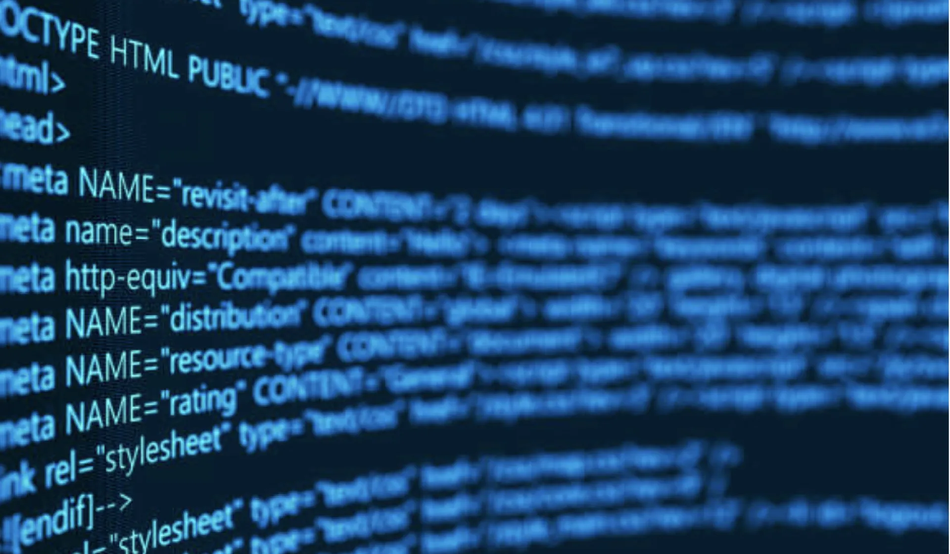 Data and AI Services - Warp